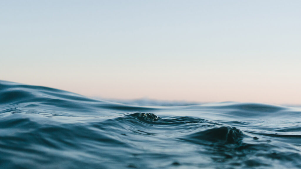 Restaurant R14 – A union of food & wine